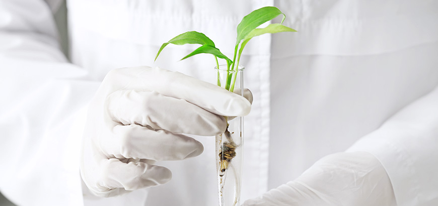 About Vertexco | Vertexco Chemicals & Solutions